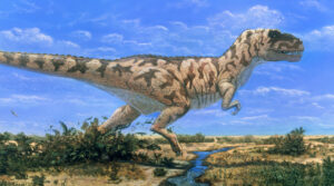 Tyrannosaurus mcraeensis: el pariente más cercano del Tyrannosaurus rex - | La Urbe